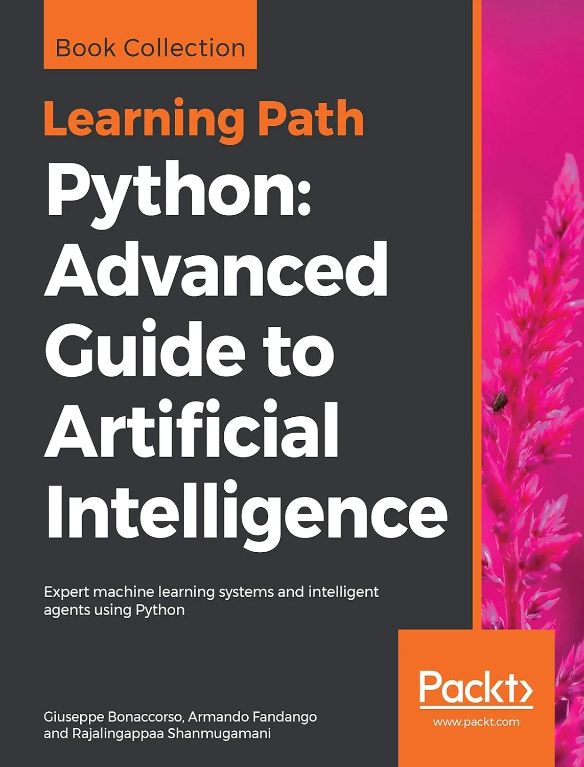 Python Advanced Guide to Artificial Intelligence (1 ed)